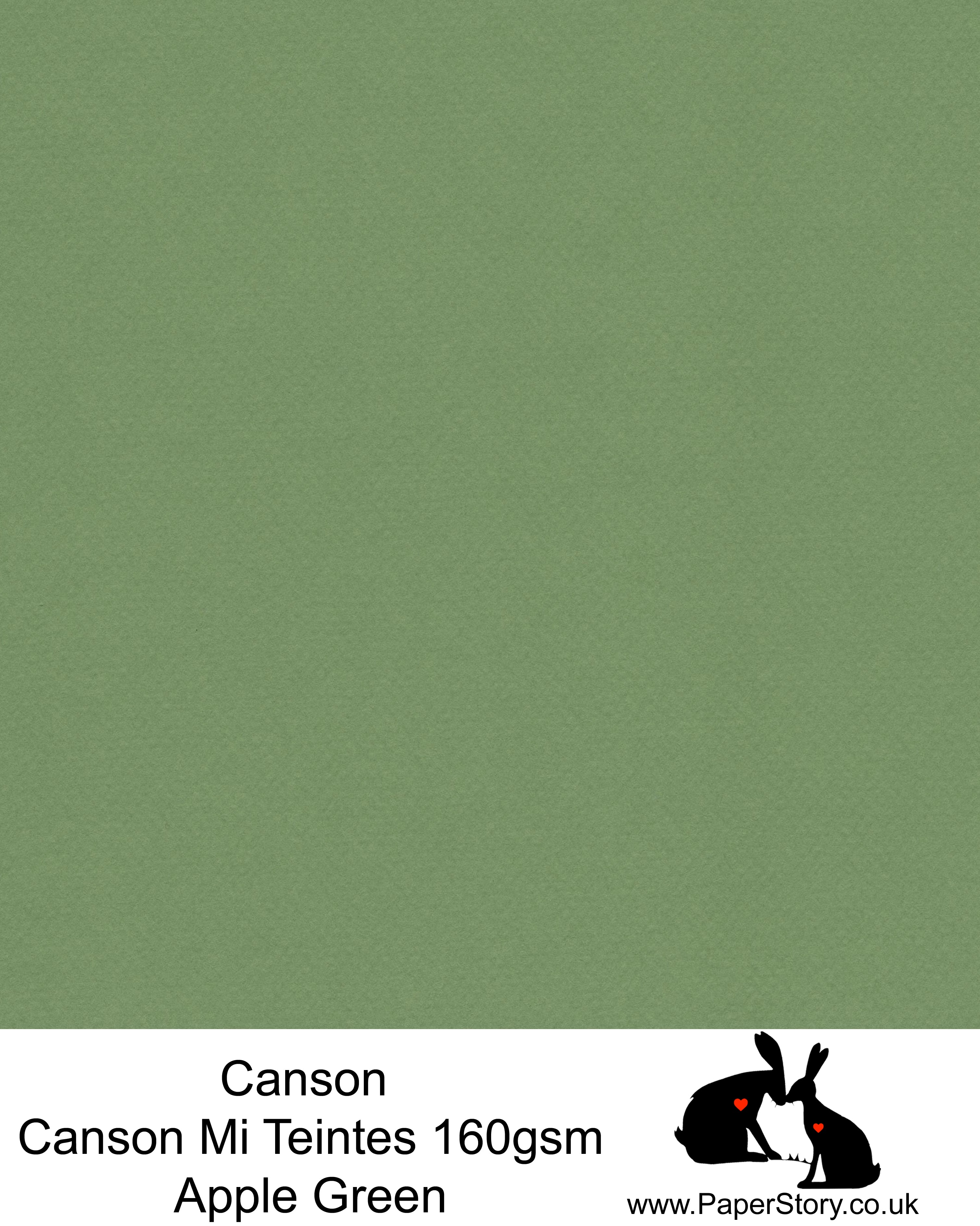 Apple Green Nº 475 Canson Mi Teintes 160 gsm A4 | PaperStory - The ...